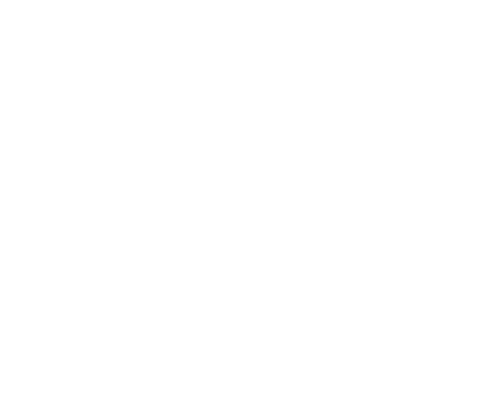 MNP Techs | Software Development & Digital Marketing Agency in Bangladesh